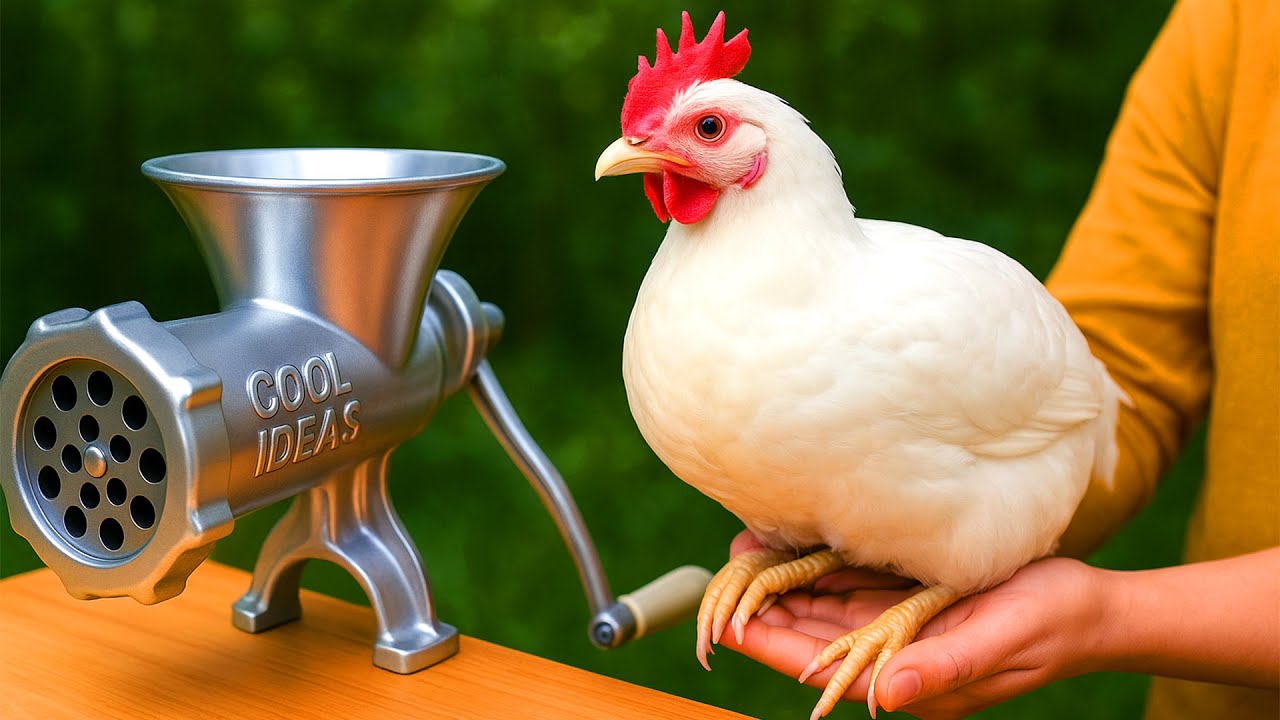 Experiment MEAT GRINDER vs CHICKEN - YouTube