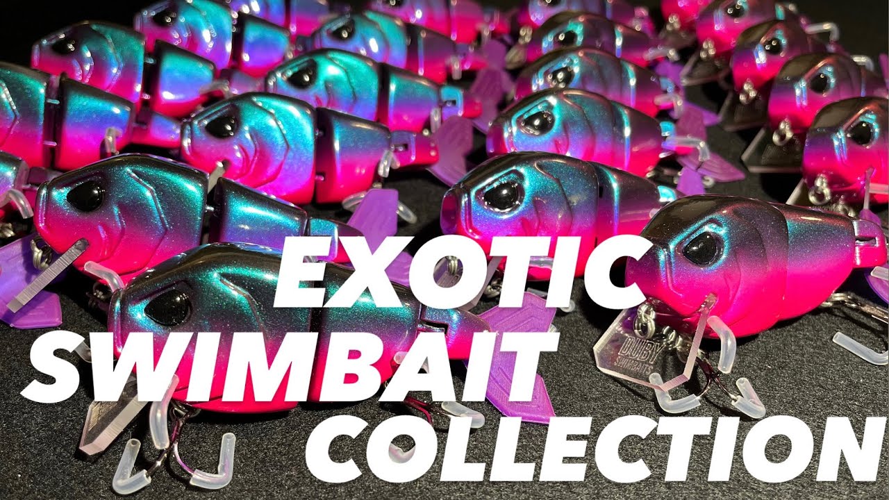 My Exotic Big Swimbait Collection #fishing - YouTube