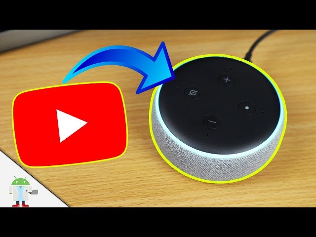 Frosty dentist Price cut alexa funziona con youtube Treasure Outdated sweater