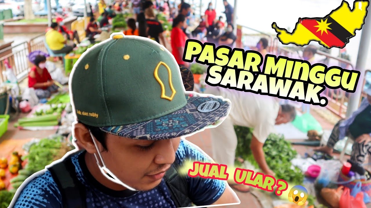 Ep 2. Pasar Sebauh, Bintulu. (jual ular wei) #32 - YouTube
