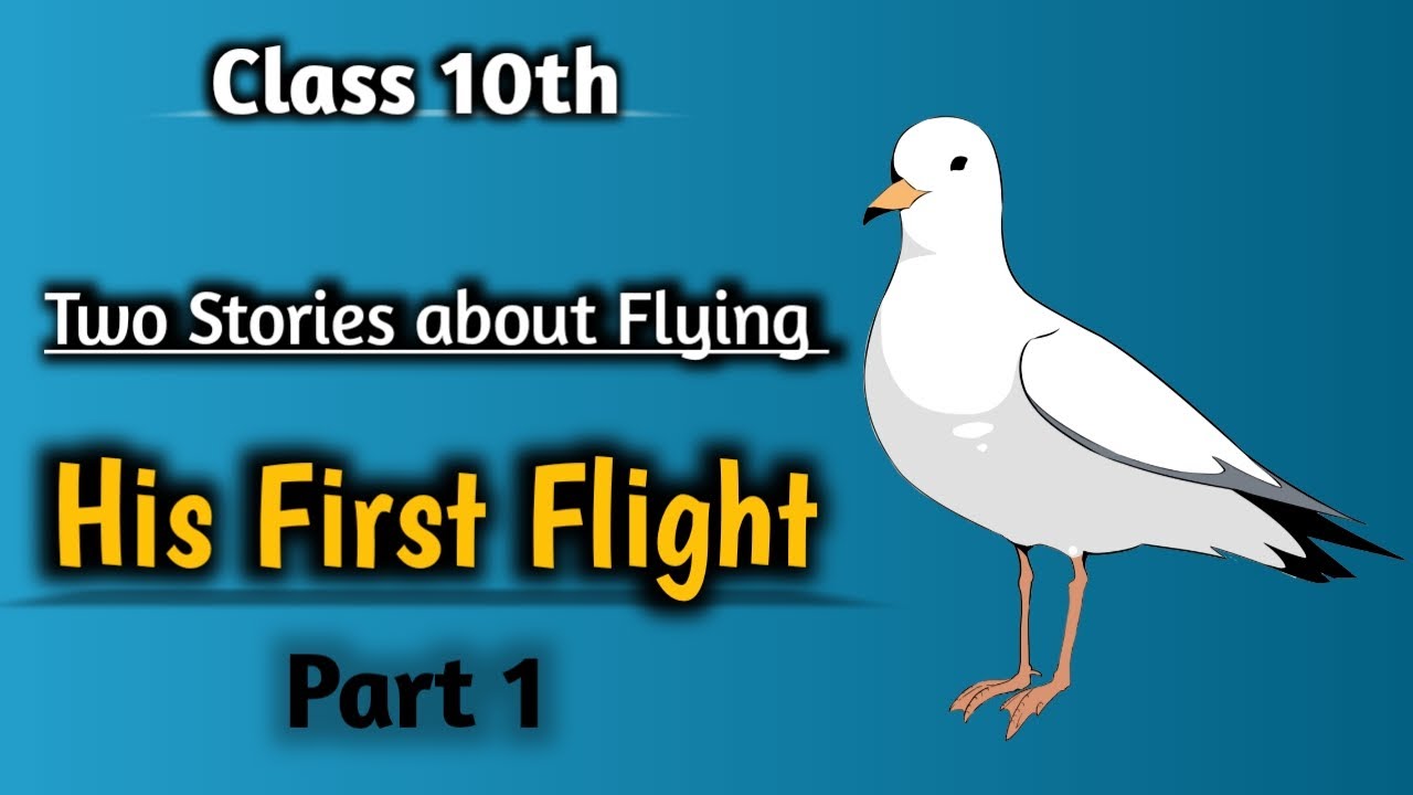 Two Stories about flying class 10 | His First Flight Class 10 | Chapter ...