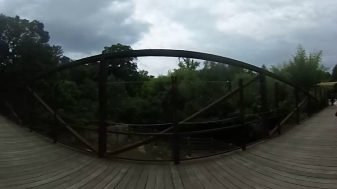 DC 360: Elephant Bridge at Smithsonian's National Zoo - YouTube