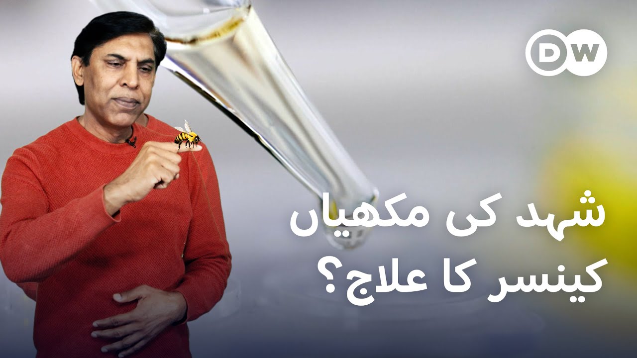 کینسر کے علاج میں معاون جنگلی شہد کی مکھیاں | DW Urdu | - YouTube