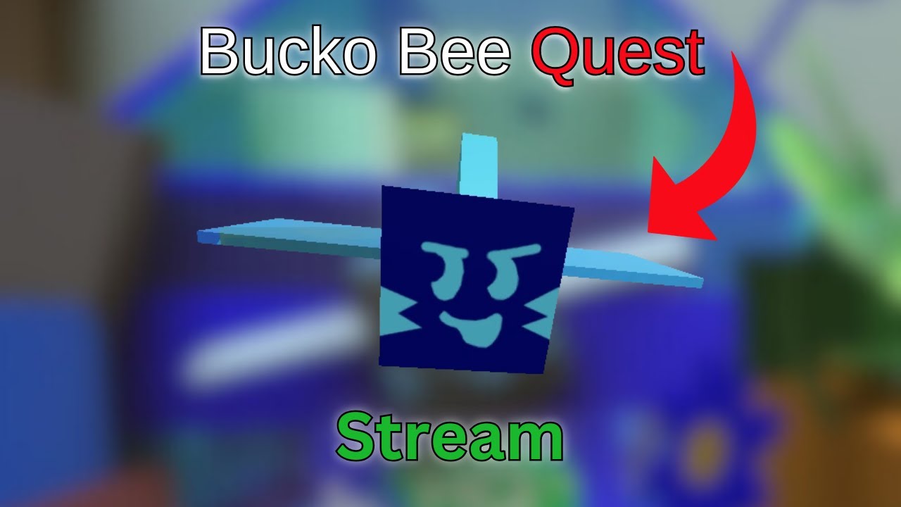 Bucko Bee Quest Stream - YouTube