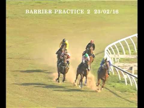 23 February 2016 Practice 2