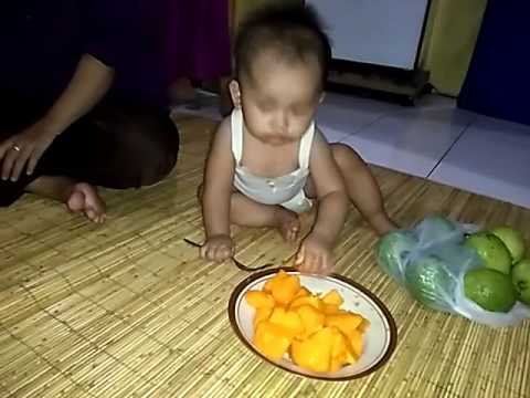 Anak codot makan pepaya - YouTube