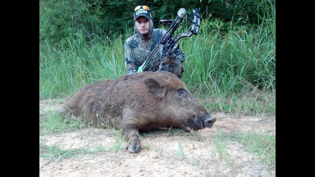 Sometimes I make the perfect shot! BIG HOG DOWN! Hunting Hogs 3/5/22 ...