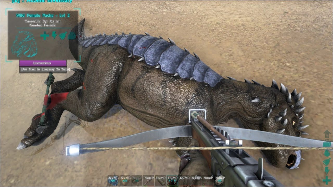 ARK: Survival Evolved #016 - Ochočení - Pachycephalosaurus L2 - YouTube