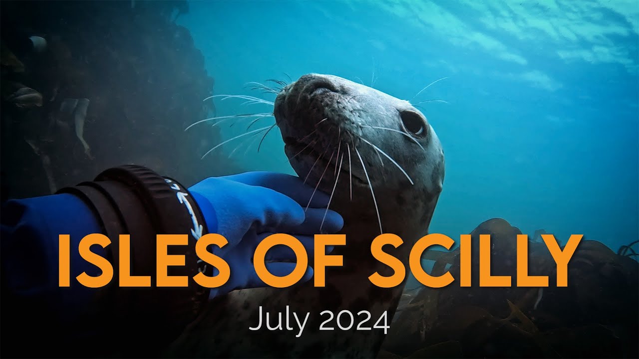 Diving the Isles of Scilly | July 2024 - YouTube