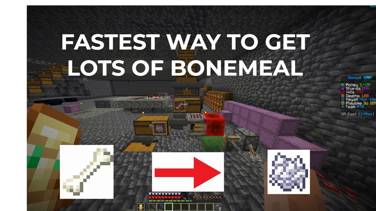 Donut SMP!!! EASIEST WAY TO TURN BONES INTO BONEMAL FAST!!!! - YouTube