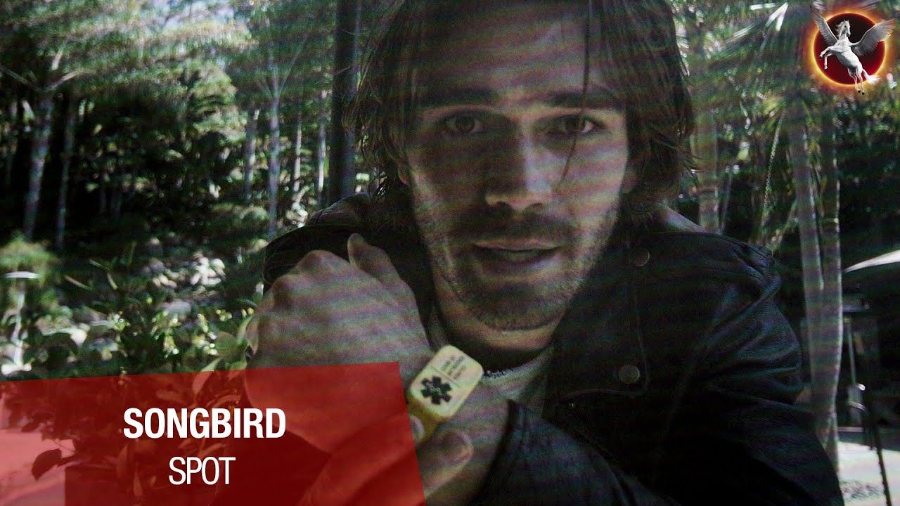 SONGBIRD - Produit par Michael Bay - Disponible en VOD. - YouTube