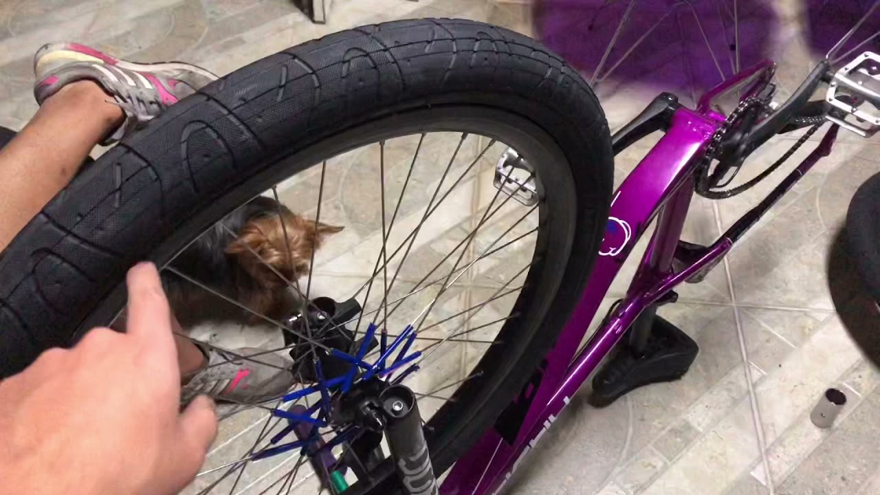 COMPRAMOS 3 MAXXIS HOOKWORM i COLOCANDO NA BIKE - YouTube