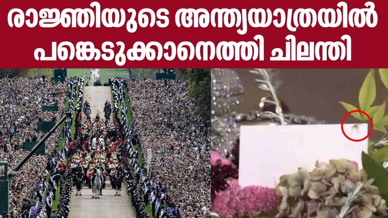 രാജ്ഞിയുടെ അന്ത്യയാത്രയില്‍ പങ്കെടുക്കാനെത്തി ചിലന്തി | Queen Elizabeth ...