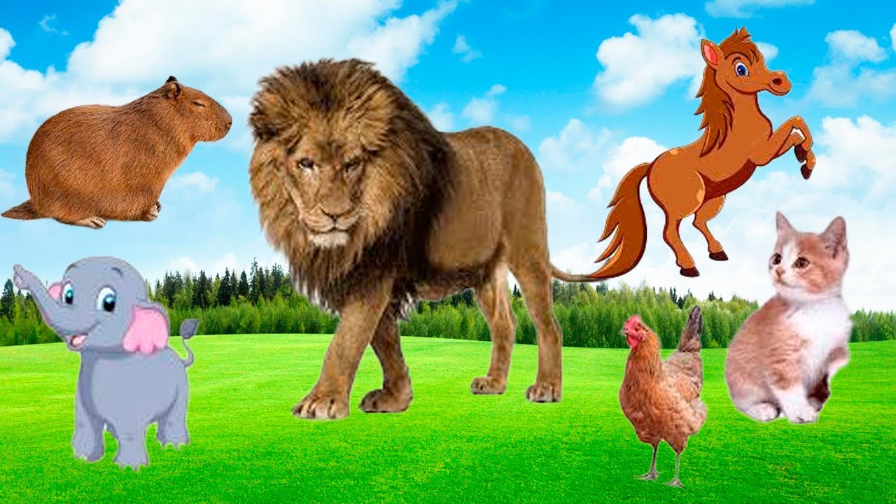 Learn to memorize animal sounds elephant rhino cow giraffe cat - YouTube