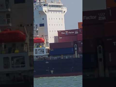 😲ZIM IBERIA Full Throttle