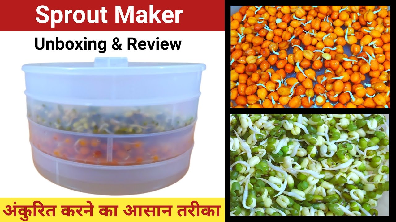 How To Make Sprouts at Home 😊 Sprout maker review 🥗 Sprout maker how to ...