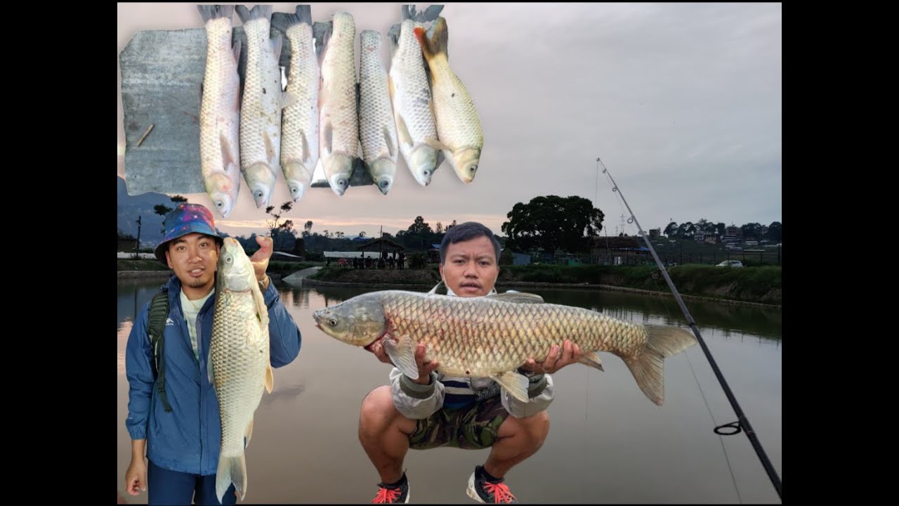 Fishing trip | Khokana | Rainy day | Nepal ko bato | Rice paddy fields ...