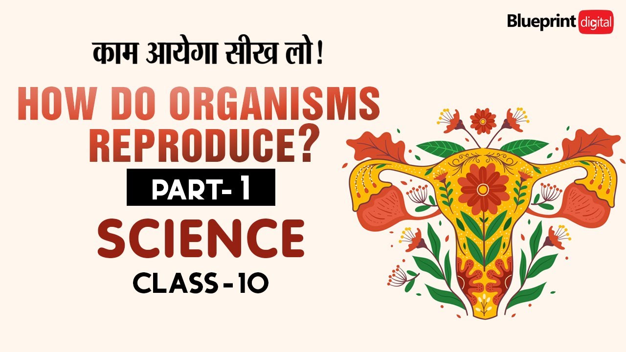 How do Organisms Reproduce Part 1 - Reproduction | Science Class 10 ...