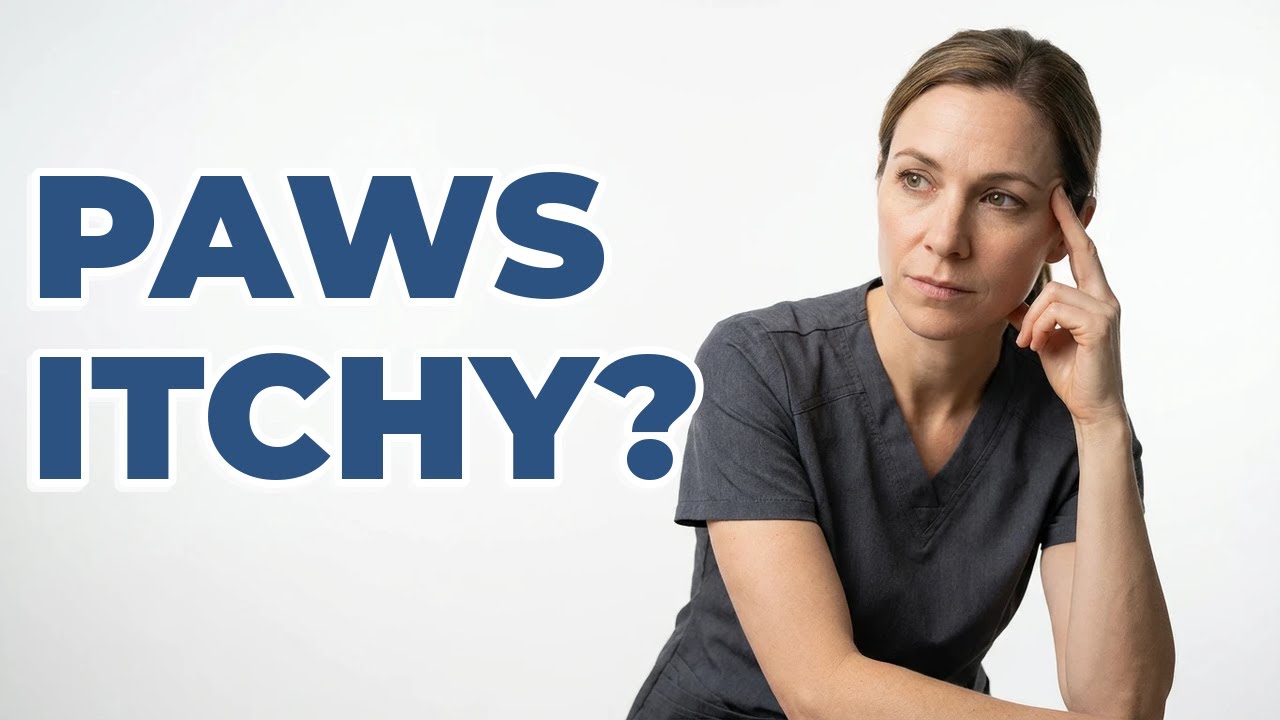 Can Dog Food Allergies Cause Paw Licking? - YouTube
