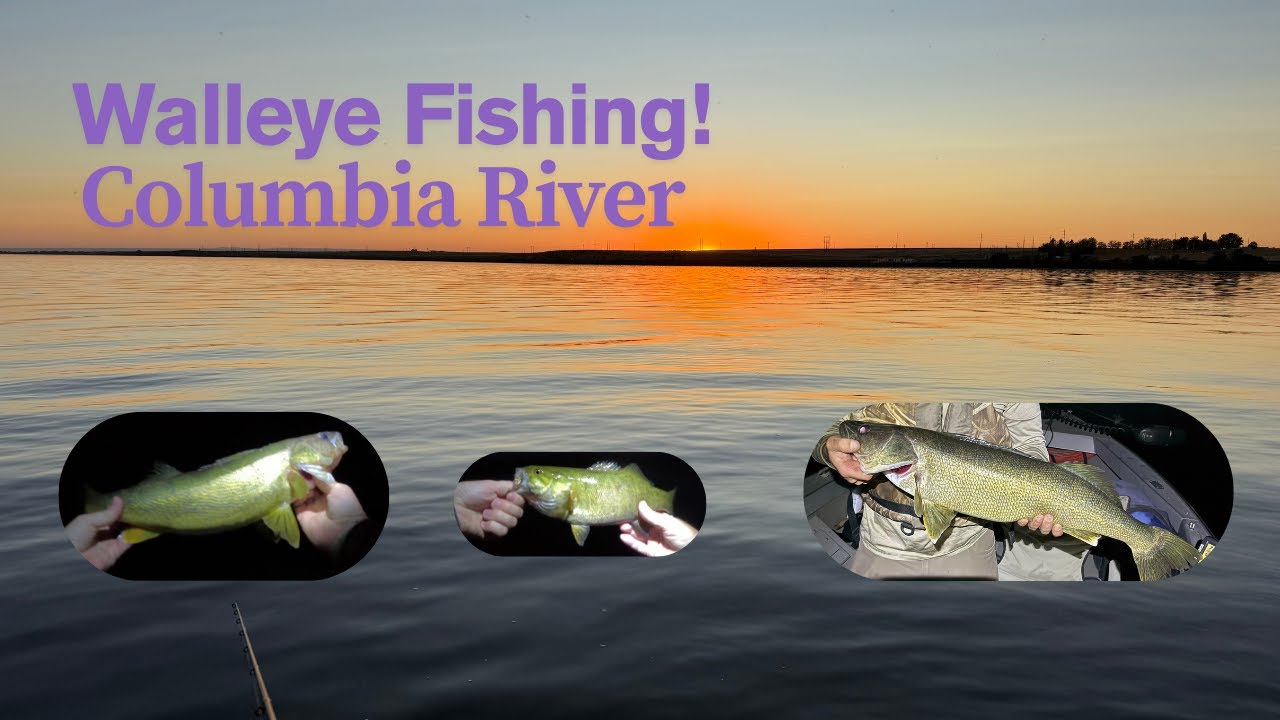 Walleye Fishing - Columbia River! Fish Tacos! - YouTube