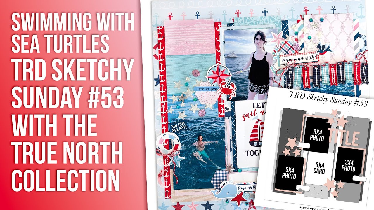 TRD Sketchy Sunday #53 | Swimming With Sea Turtles using the True North ...