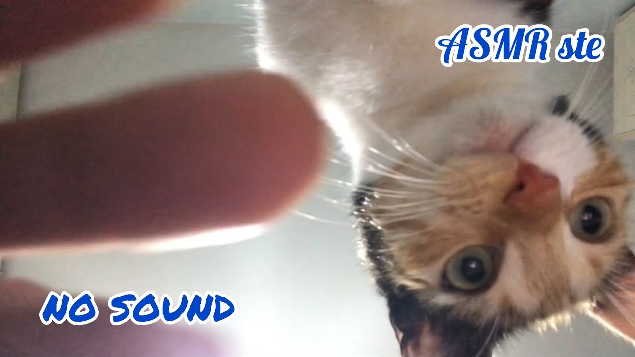 Asmr NO SOUND visual trigger camera touching for deaf people - YouTube