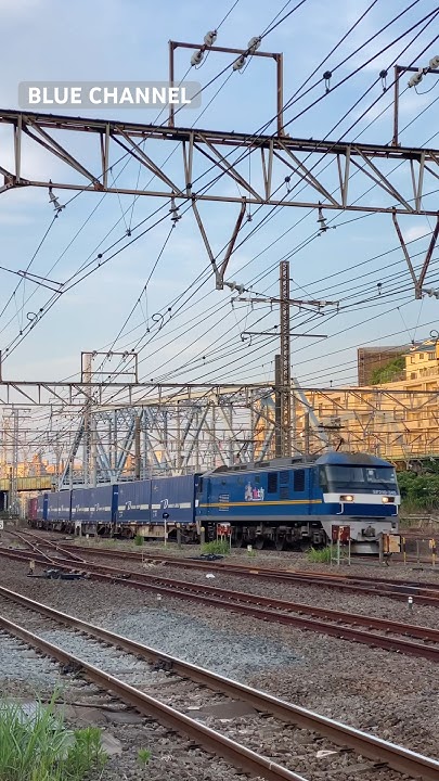 (貨物列車) 2024/05/24 2058レ EF210-345 + コキ20B カンガルーライナーSS60 (+13分) (吹田タ〜陸前山王) #Shorts - YouTube