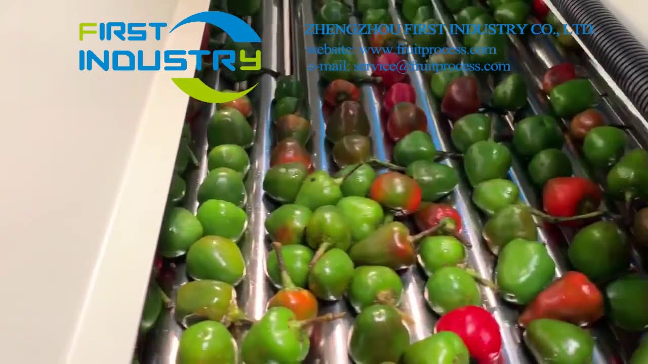 Cherry pepper washing drying sorting machine, cherry pepper grading ...