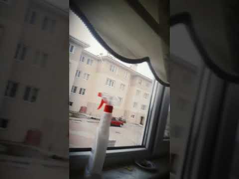 amatör ses dinlemeden gecme vedat
