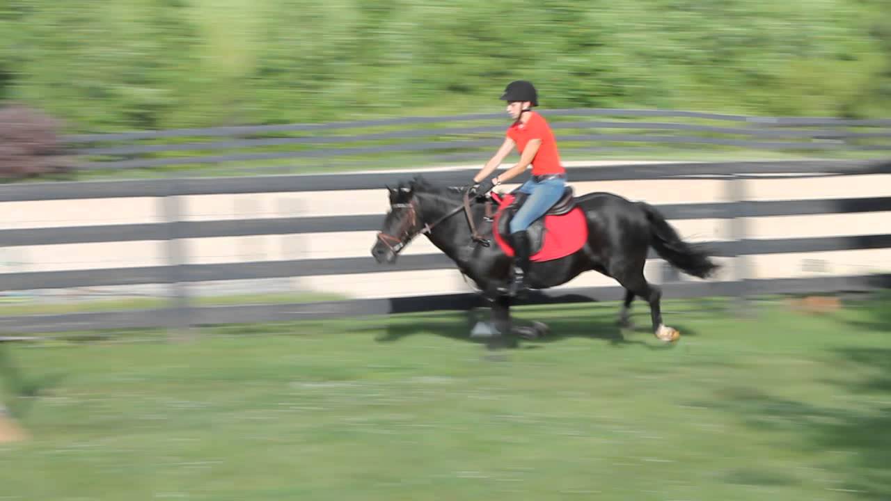 Pepper Jumping - YouTube