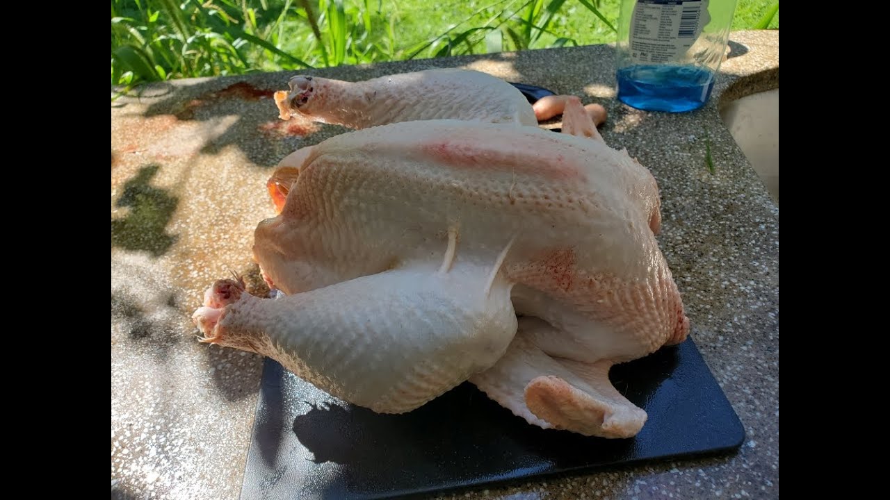 Home Made Chicken Plucker In Action- Build List and Instructions - YouTube