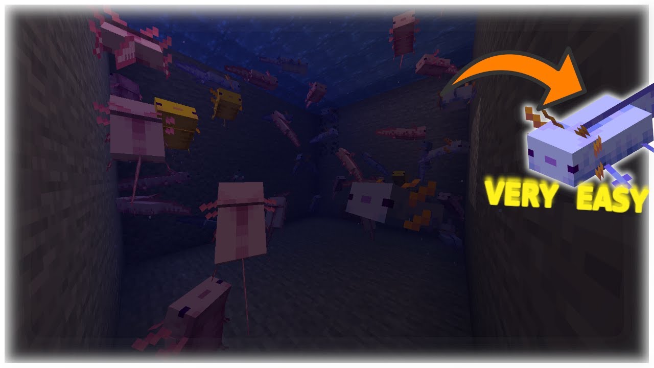 How to Make Axolotl Farm-All Variants,EASY - YouTube