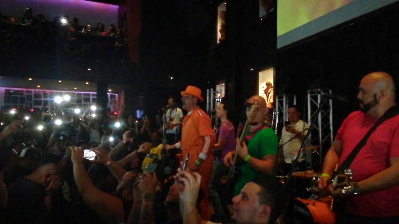 El Guato - Machala Machala (extracto) @FincaFest2018 - YouTube