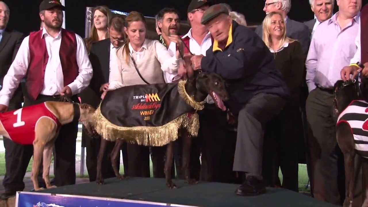 Ernie Bung Arrow Shoots Straight To Victory - YouTube