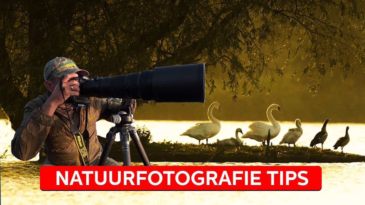 NATUURFOTOGRAFIE: inzoomen of uitzoomen? | Natuurfotografie | Zoom.nl ...