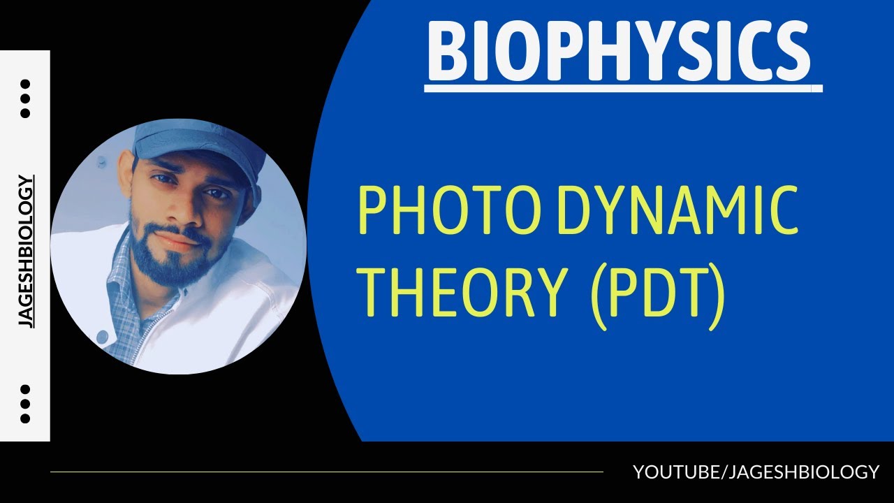 Photo Dynamic Theory (PDT) | Photobiological Phenomenone | Biophysics # ...