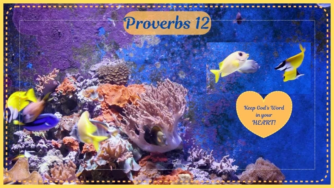 Proverbs 12...the thoughts of the righteous are right: but the counsels ...