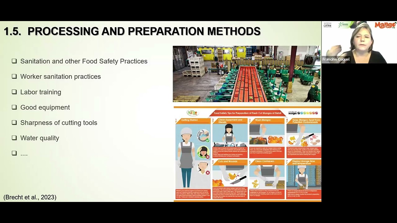 Fresh cut mango preservation strategies - YouTube