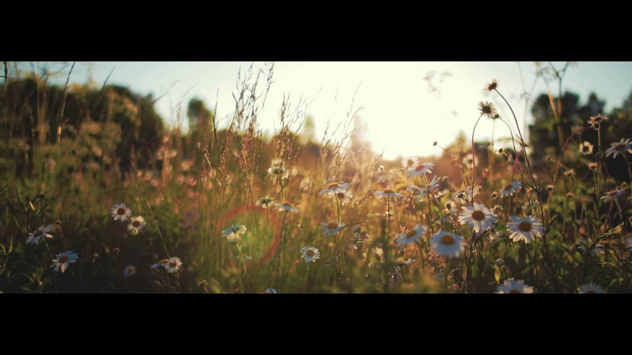 Nature Shot Color Grade Test - YouTube