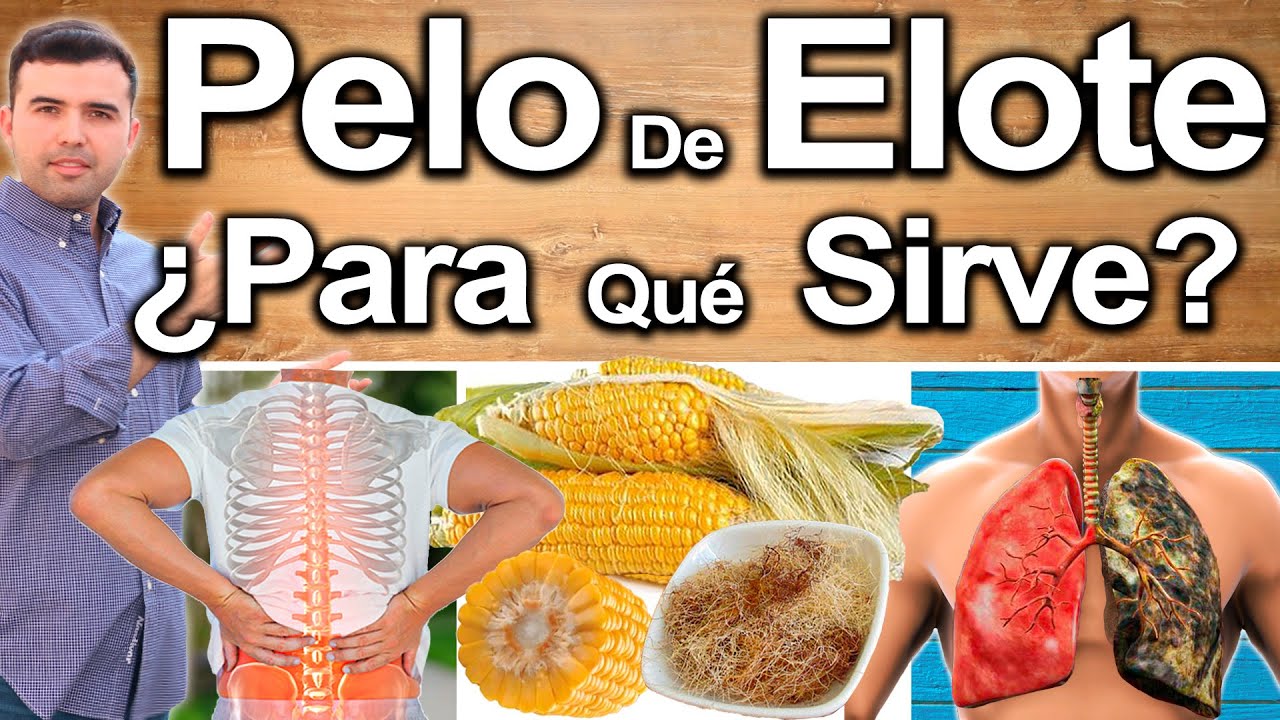 TÉ DE PELO DE ELOTE O MAIZ EN AYUNAS CURA TODO! - ¿Para Qué Sirve ...