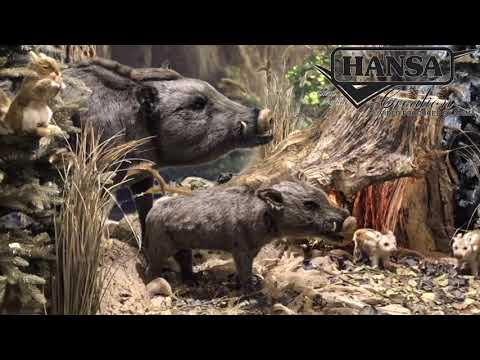 0087 ANIMA PELUCHES 🐾 Automate Hansa 🐾 Sanglier44cmH:85cmL - YouTube