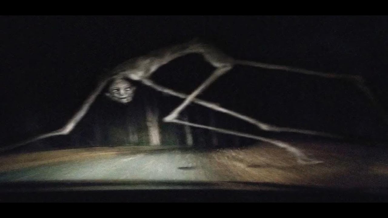 Trevor Creatures - Country Road Creature #foryou #fyp #foryoupage # ...