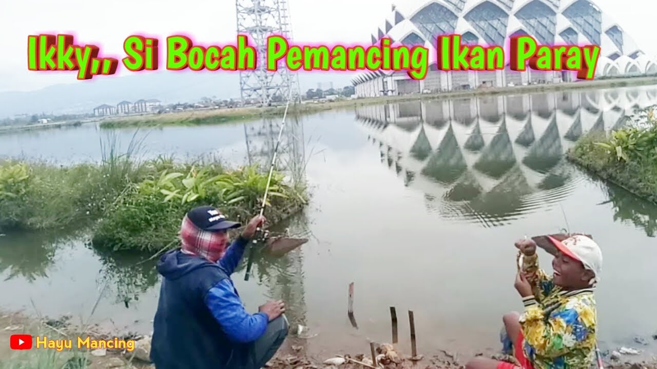 Serunya Mancing Ikan Paray / Wader Di Danau - YouTube
