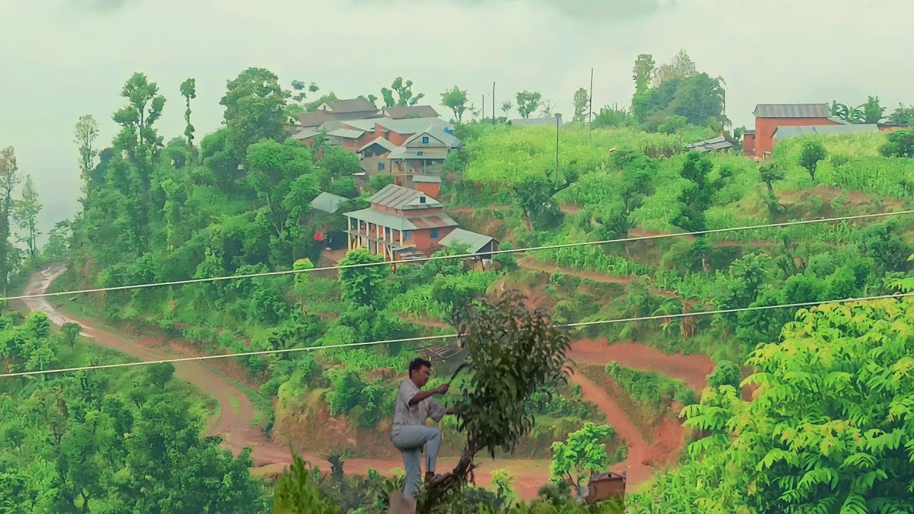 Visiting In Most Beautiful Place in Nisdi 3 Kyangurung || Nepal ...