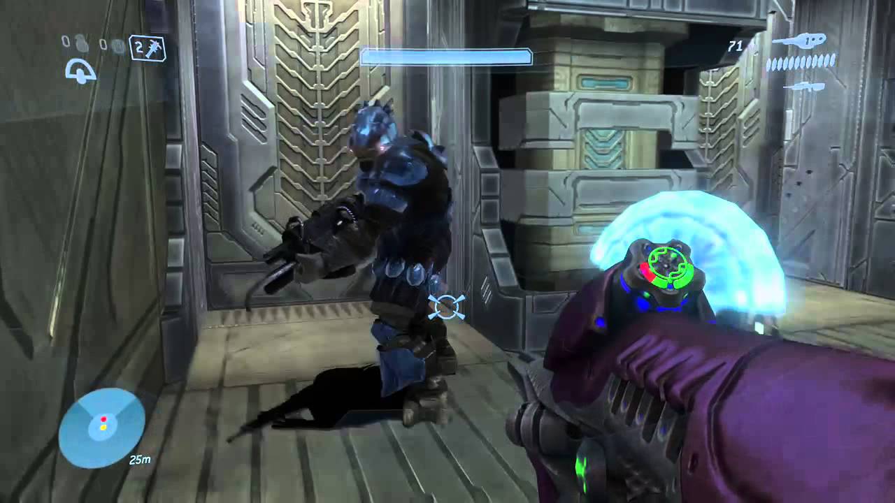 The Happy Jackal Dance - YouTube