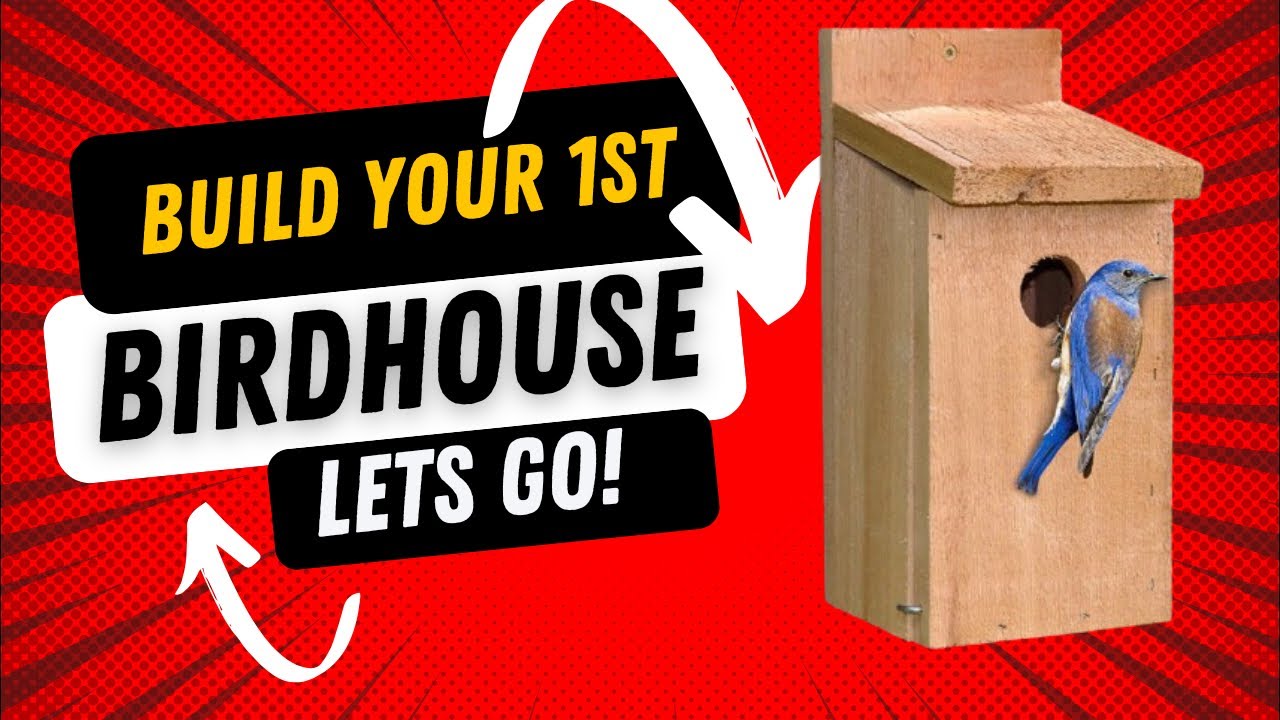 Build your first birdhouse - the perfect beginner project - YouTube