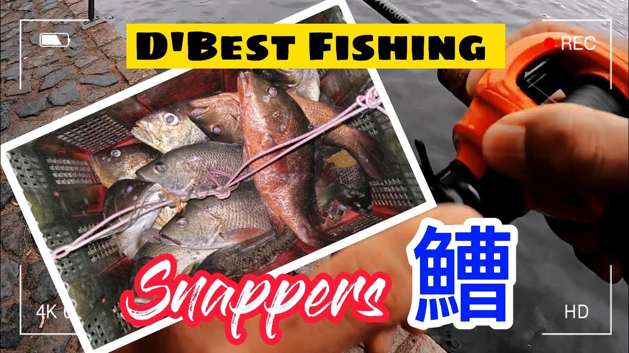 EP18钓点无藏私，40米的卷取感觉。Singapore D'Best Fishing Pond - YouTube
