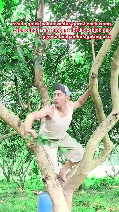 di pohon rambutan ada demit jaranan yg bikin orang joget - YouTube