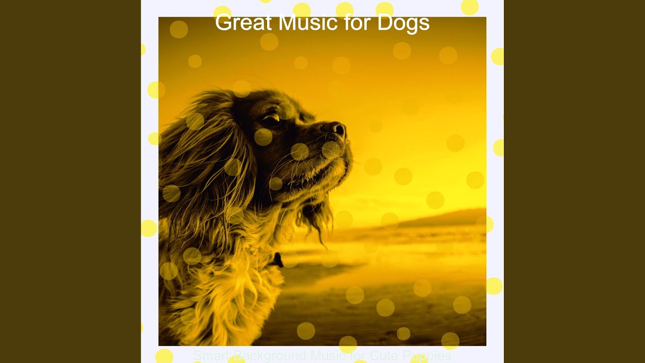 Simple Moods for Dogs - YouTube