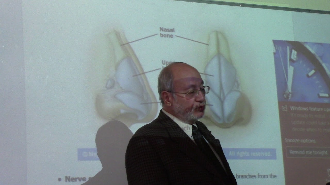 Respiratory Module 6 (The nose ,externally) by Dr.Wahdan - YouTube